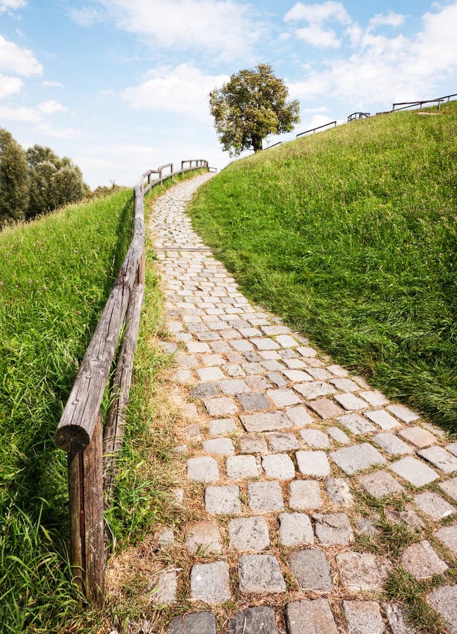 Footpath stock photo. Image of landscape, meadow, tree - 28409228