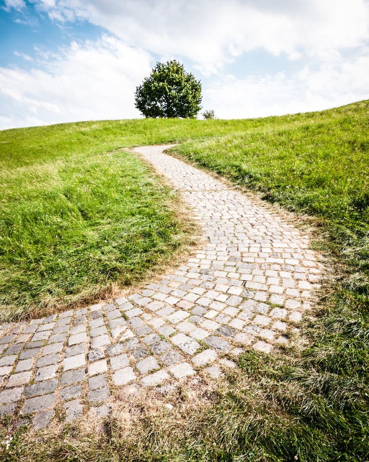 Footpath stock image. Image of shadow, plants, gray, footpath - 30021783