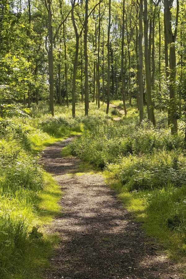 366,168 Footpath Stock Photos - Free & Royalty-Free Stock Photos from ...