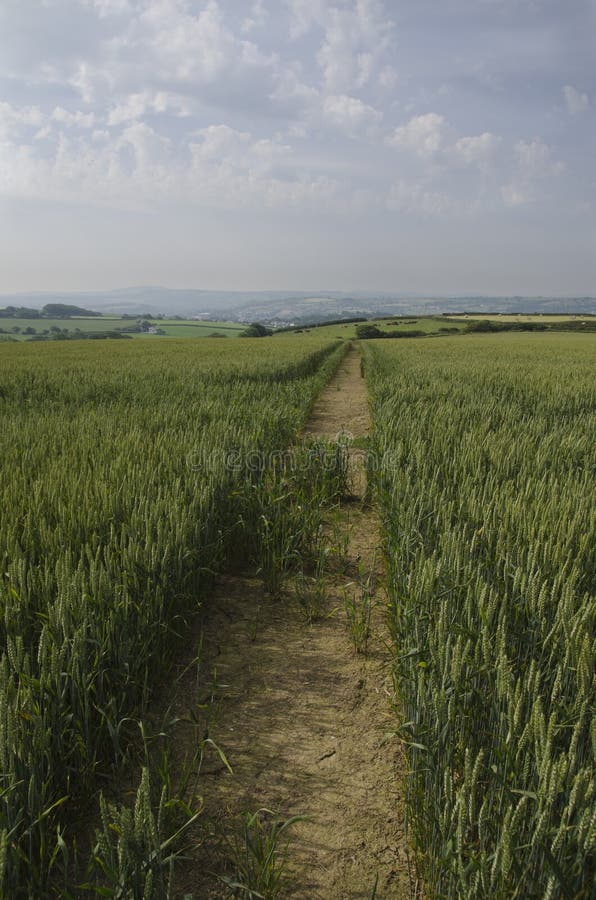 Footpath across farmland. stock photo. Image of ramblers - 97089302