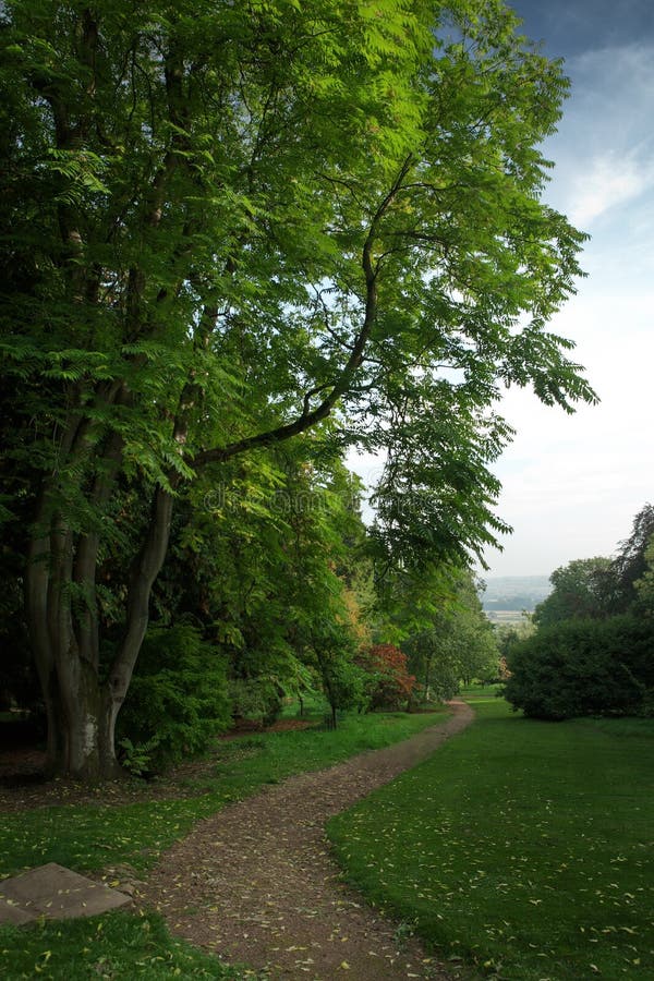 Footpath Along Edge Forest England Stock Photos - Free & Royalty-Free ...