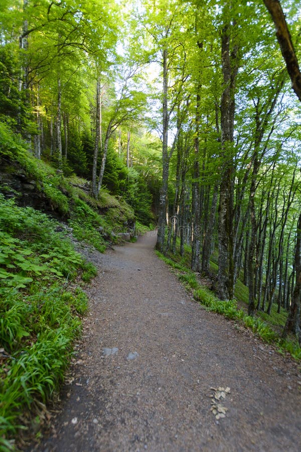 Footpath Around the Lake Pavin in Auvergne Stock Photo - Image of dome ...