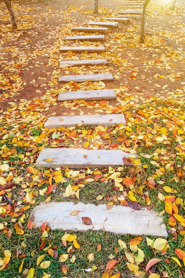 Footpath with Autumn Leaves Fall Stock Photo - Image of mountain, trail ...