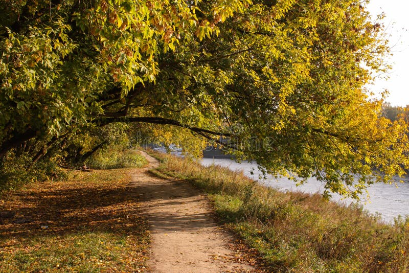 Footpath stock photo. Image of leaf, area, foliage, branch - 45225154