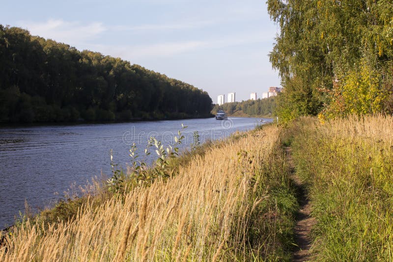 Footpath stock photo. Image of foliage, bush, city, green - 45236144