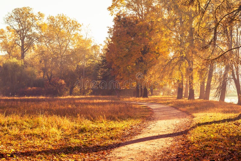 Footpath in a Beautiful Colorful Autumn Park Stock Photo - Image of ...