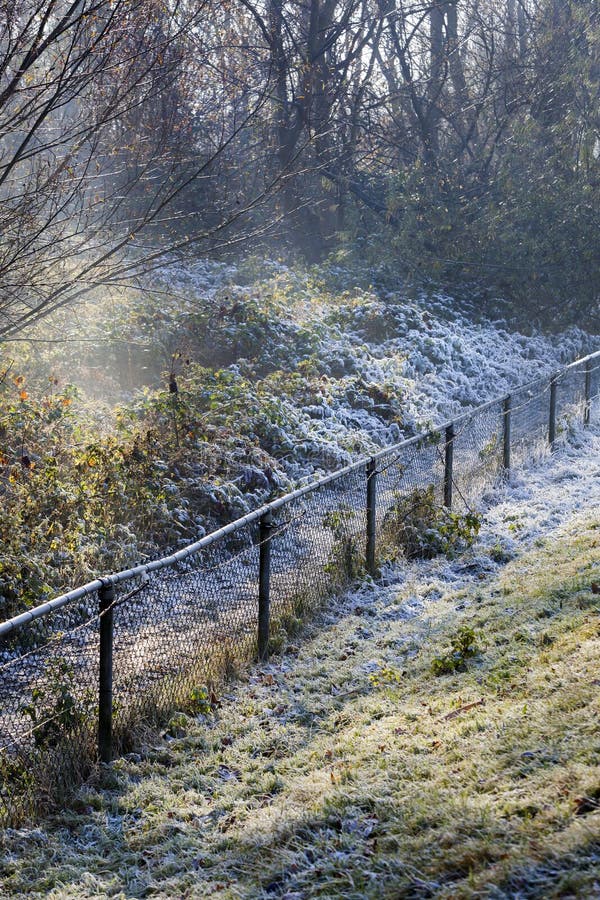 Footpath behind the fence stock image. Image of fence - 82470729