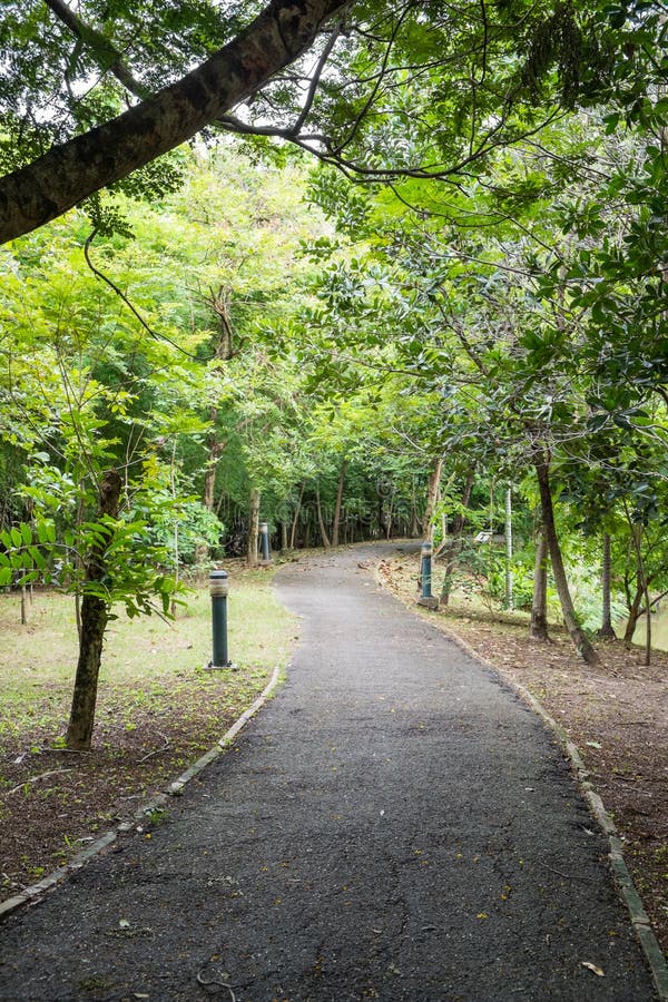 Footpath and Bike Path in the Park Stock Photo - Image of outdoor ...