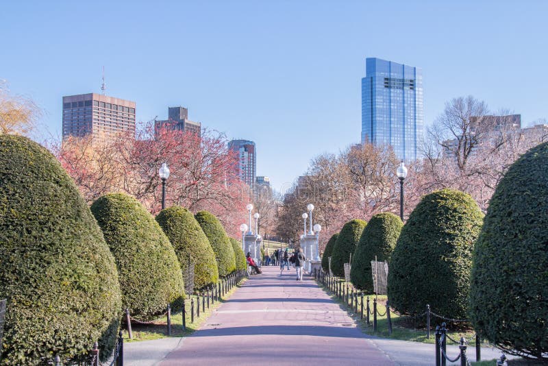 BOSTON, MA. PARK stock image. Image of boats, boston - 50410145