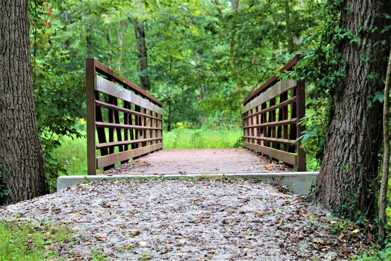 Footpath Bridge stock image. Image of path, dirt, wilderness - 98406613