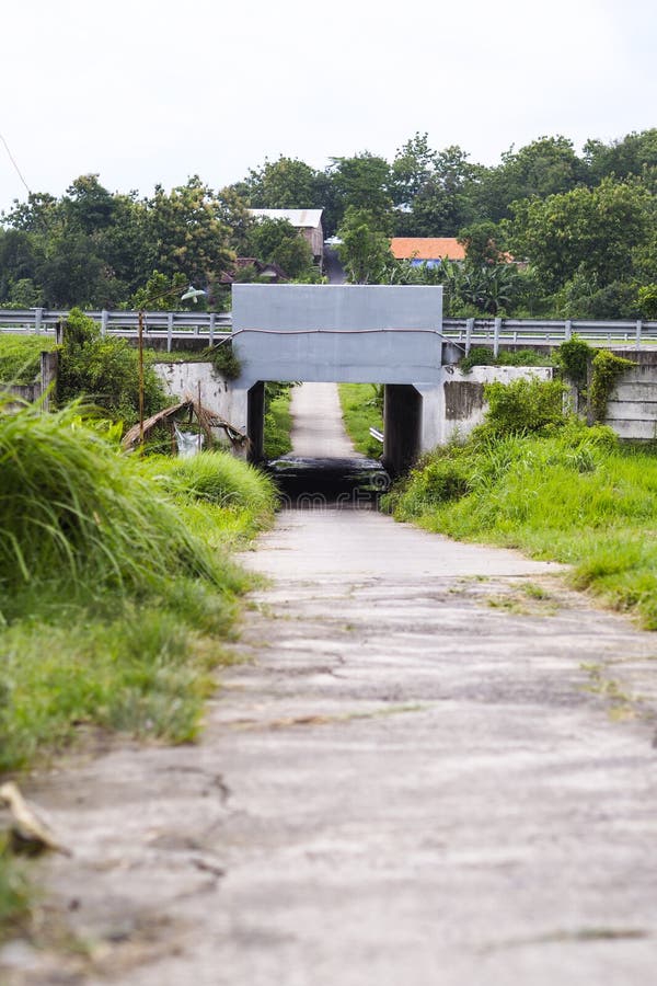 A Footpath with a Bridge Over it Stock Image - Image of stream ...