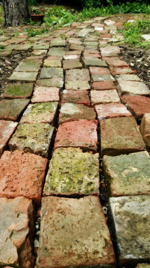 Bricks Footpath Stock Photos - Download 2,113 Royalty Free Photos