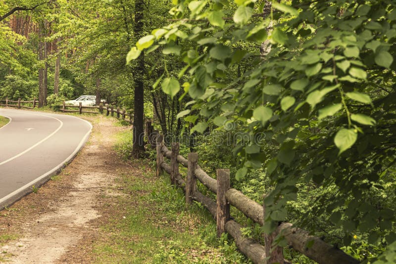 Footpath in a city park. stock image. Image of path - 182909667