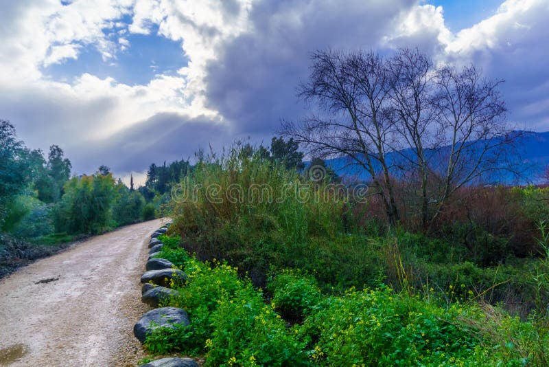 Dan Stream, a Source of the Jordan River Stock Image - Image of meet ...