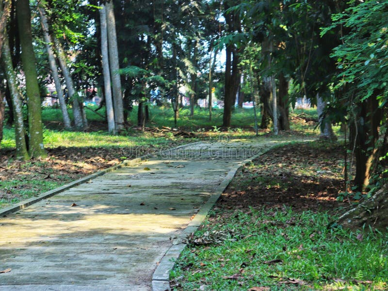 Footpath in the Conservation Park at IPB University Stock Photo - Image ...