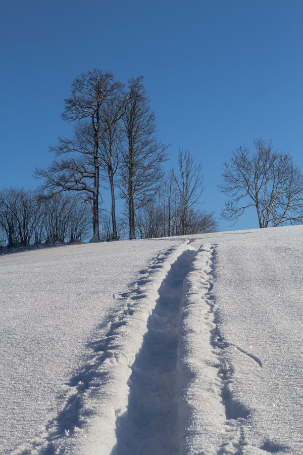 Footpath in Deep Fresh Snow Stock Image - Image of tirol, season: 85963277