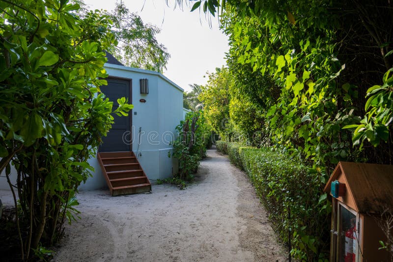 Footpath in a Dense Green Forest, Next To a Building Stock Photo ...