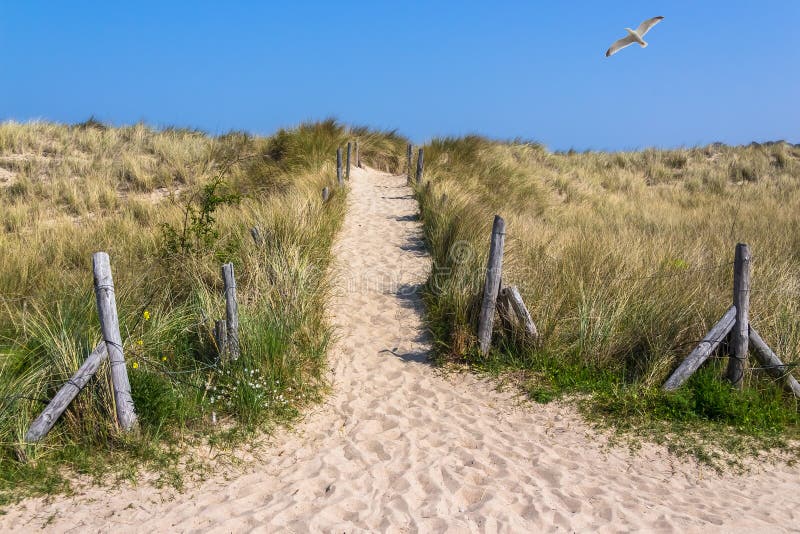 Footpath to the Beach stock image. Image of coast, holiday - 147915091