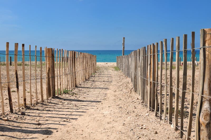 Footpath between fence stock photo. Image of coastline - 68625020