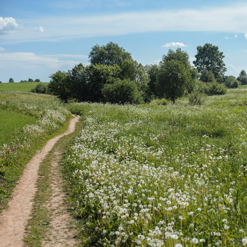 Footpath in the field stock photo. Image of ground, peace - 49552620