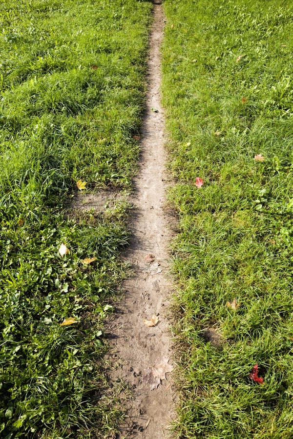 Footpath in the field stock image. Image of grow, summer - 223611689