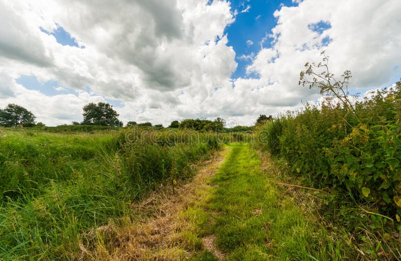 Footpath in field stock image. Image of green, environment - 82996385