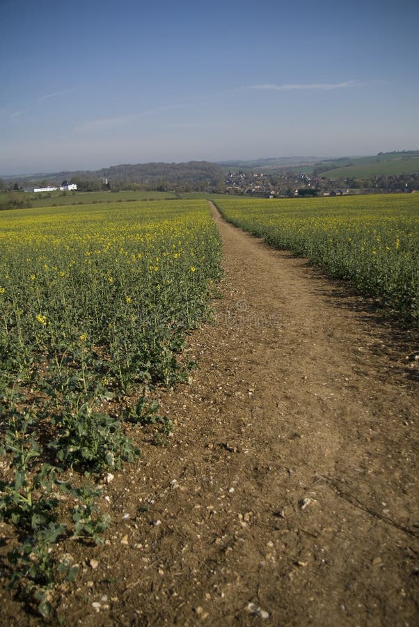 Footpath through Field To Village. Stock Image - Image of walk, forward ...