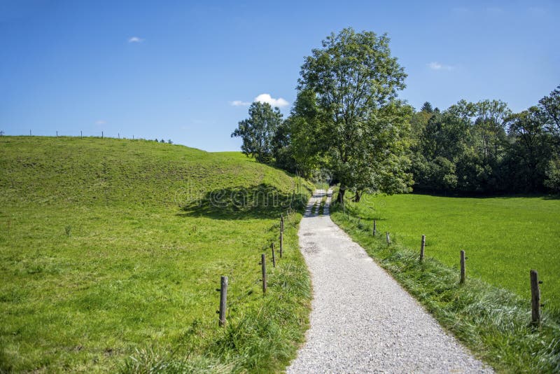 Footpath between the Field and the Trees Stock Image - Image of park ...