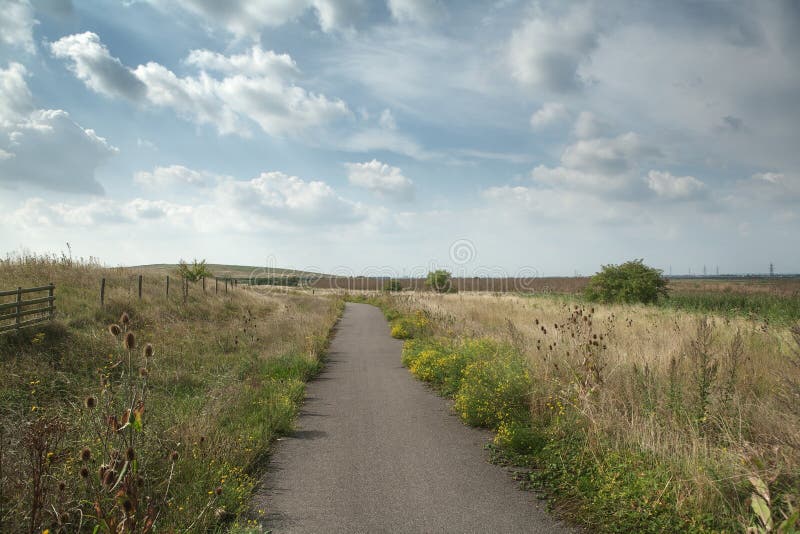 Footpath through Fields, England Stock Photo - Image of idyllic ...