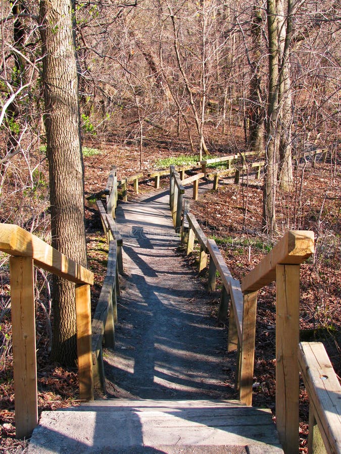 Footpath in the forest stock image. Image of country - 32727579