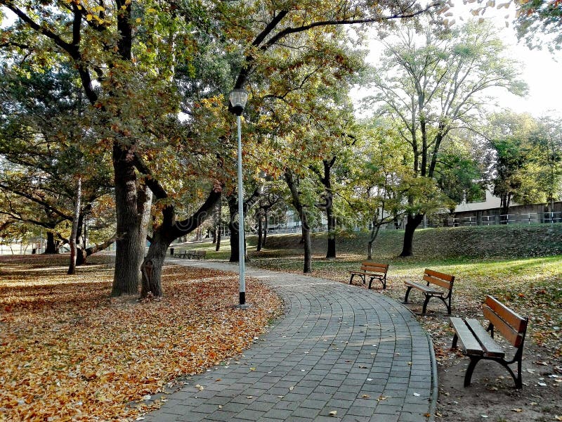 Footpath in Front of Benches Stock Photo - Image of pylon, front: 161701916