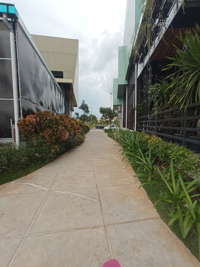 Footpath Garden Beauty Flower Building Stock Image - Image of footpath ...