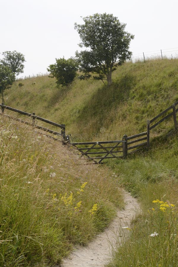 Footpath and Gate. Wiltshire. England Stock Image - Image of england ...