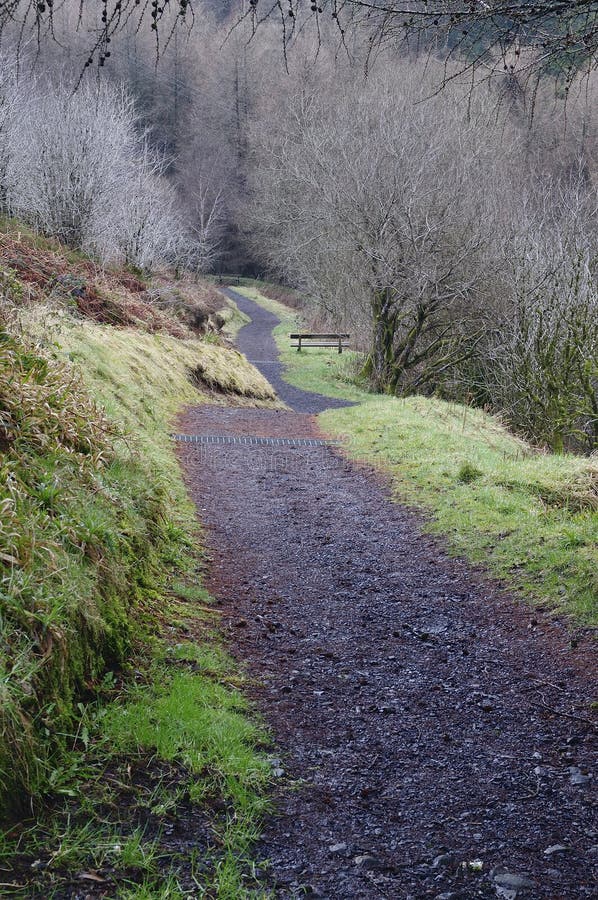 Footpath in Glenariff Forest Park Stock Photo - Image of spring ...