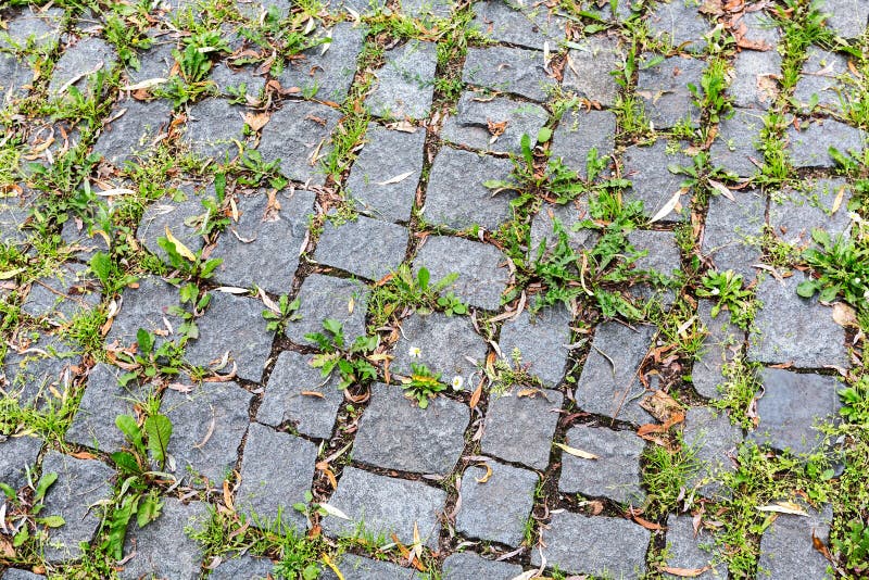 Footpath with grass stock image. Image of texture, plant - 34279265