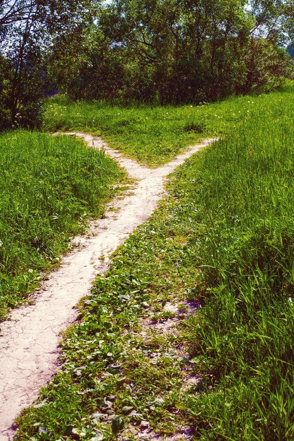 A Footpath in the Grass Divides into Two Paths that Diverge in ...