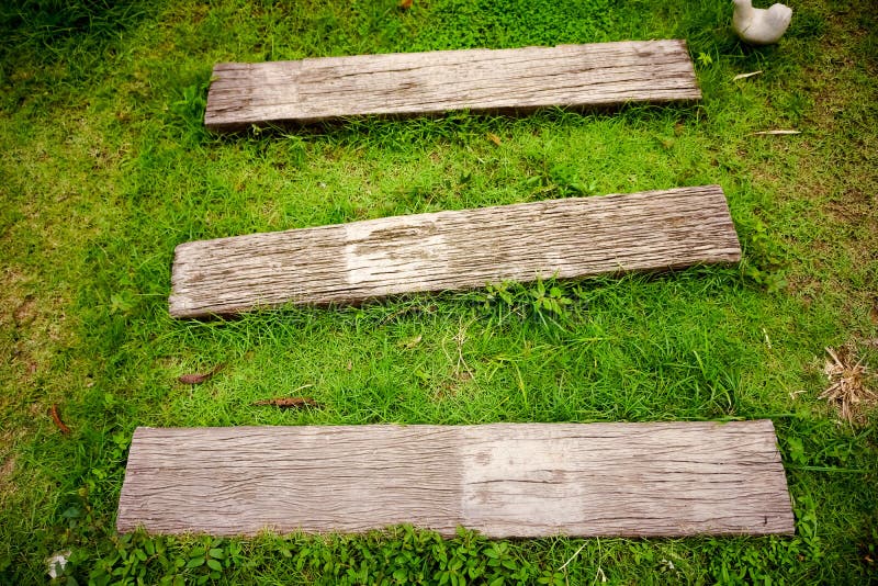 Footpath on the Green Grass Stock Photo - Image of mist, park: 74635040