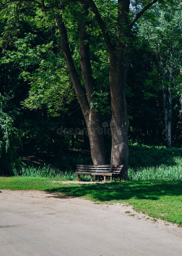 Footpath in the Green Park. Bench in the Park on a Warm Summer Day ...