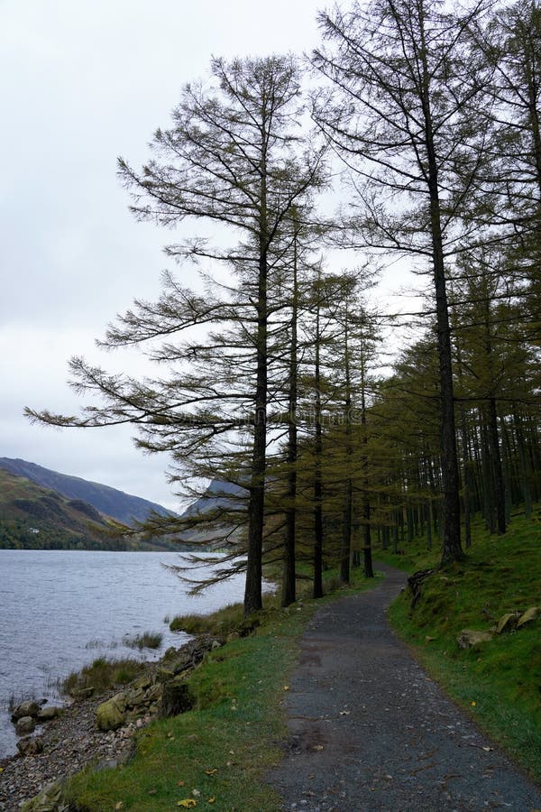 A Footpath by the Lake Buttermere, the Lake District Stock Image ...