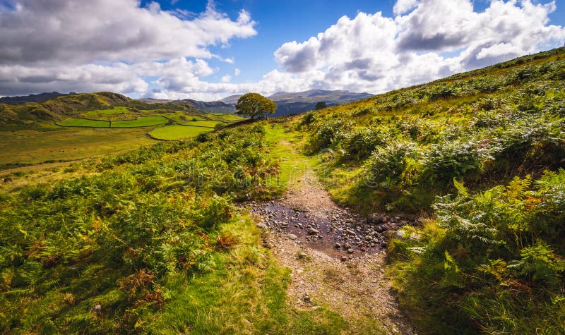 Footpath in the Lake District Stock Photo - Image of path, rural: 92762156