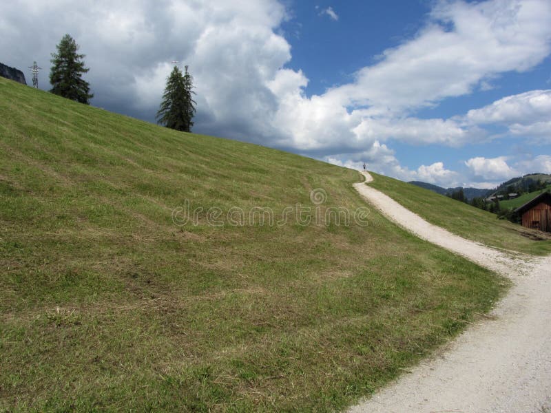 Footpath Leading through a Green Alpine Pasture at Summer . a Man is at ...