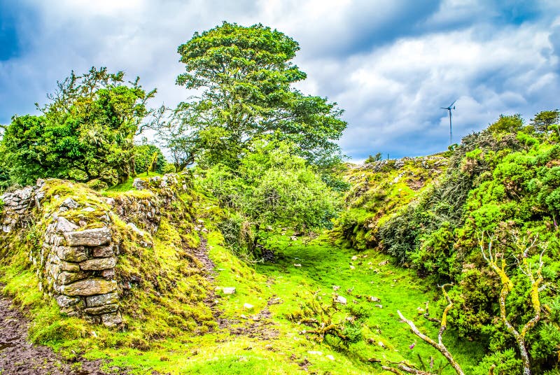 Footpath Leading through into a Gulley on Bodmin Moor, Cornwall Stock ...