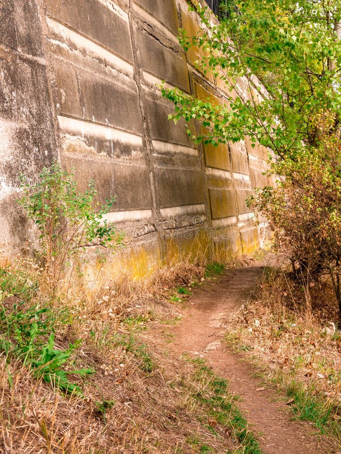 Footpath Leading by a High Concrete Wall and Under the Tree Stock Photo ...