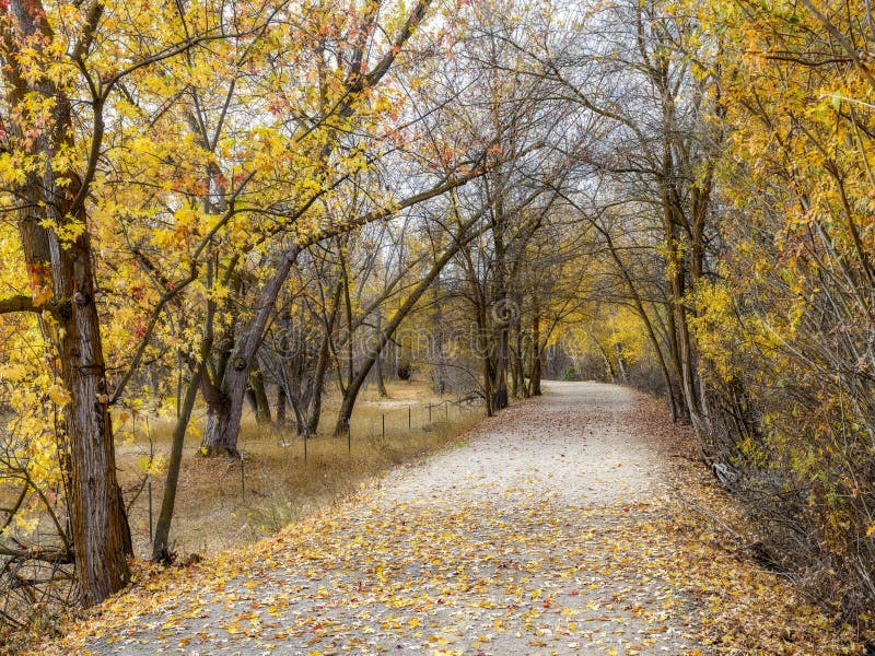 Footpath Leads through a Forest of Autumn Trees Stock Photo - Image of ...