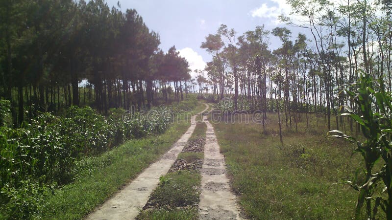 Footpath in Mountainous Area Under the Slope Stock Image - Image of ...