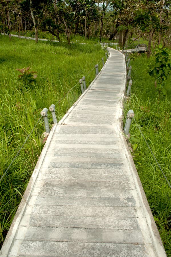 Footpath in National Park ,Northeast of Thailand. Stock Photo - Image ...