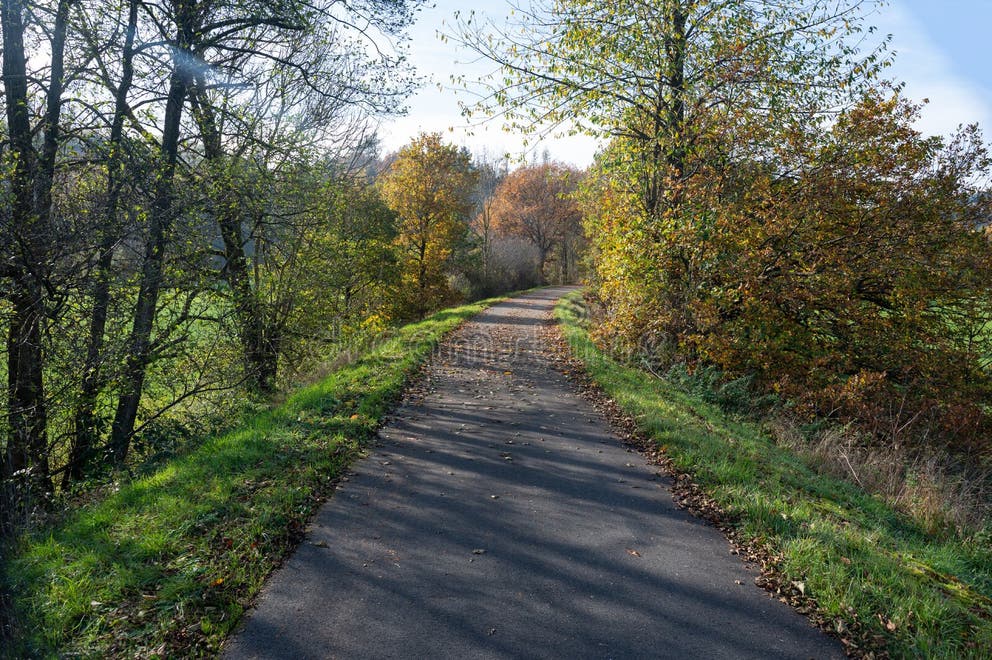 Footpath in Nature between Trees and Fall Foliage Along the Way Stock ...