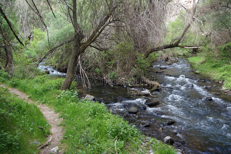 Footpath near river stock image. Image of river, flow - 41153673