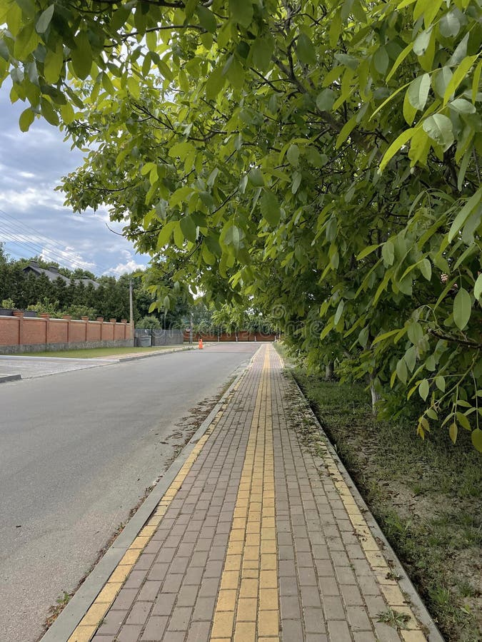 Footpath Next To the Road Under a Big Green Tree Stock Photo - Image of ...