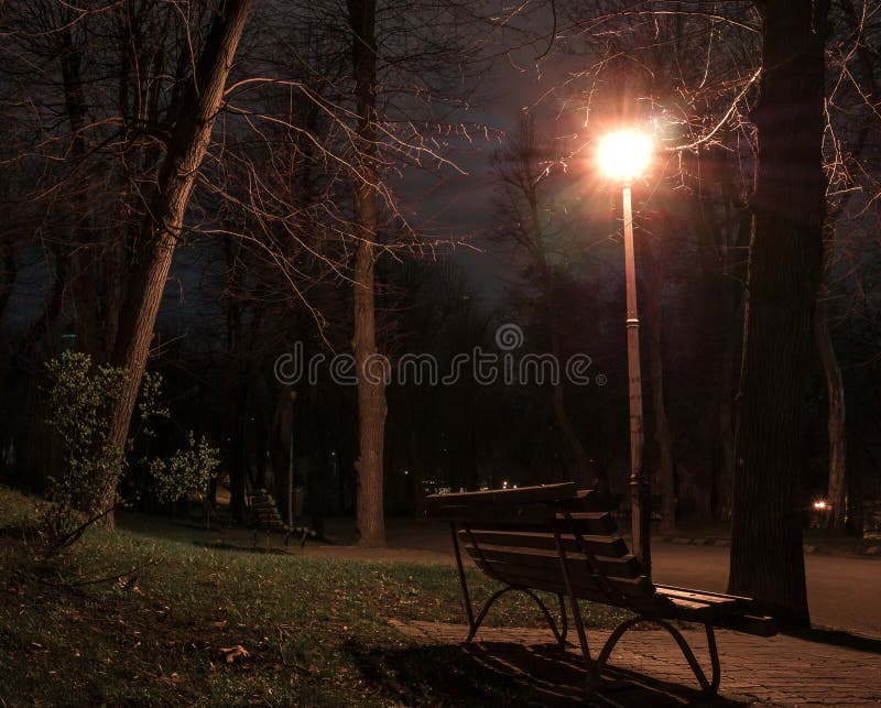 Footpath at Night in the Park Stock Photo - Image of bucharest ...
